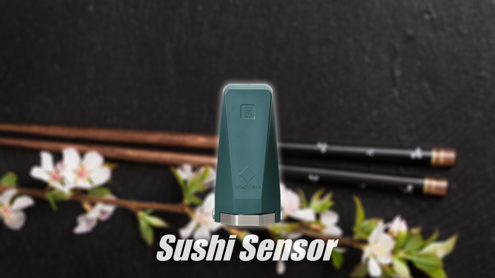 Sushi Sensor | Yokogawa Electric Corporation