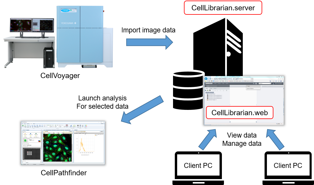 CellLibrarian, High-Content Data Management System | Yokogawa America
