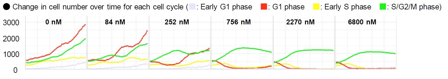 Cell Cycle Analysis Using Cell Cycle Indicator: Fucci | Yokogawa America