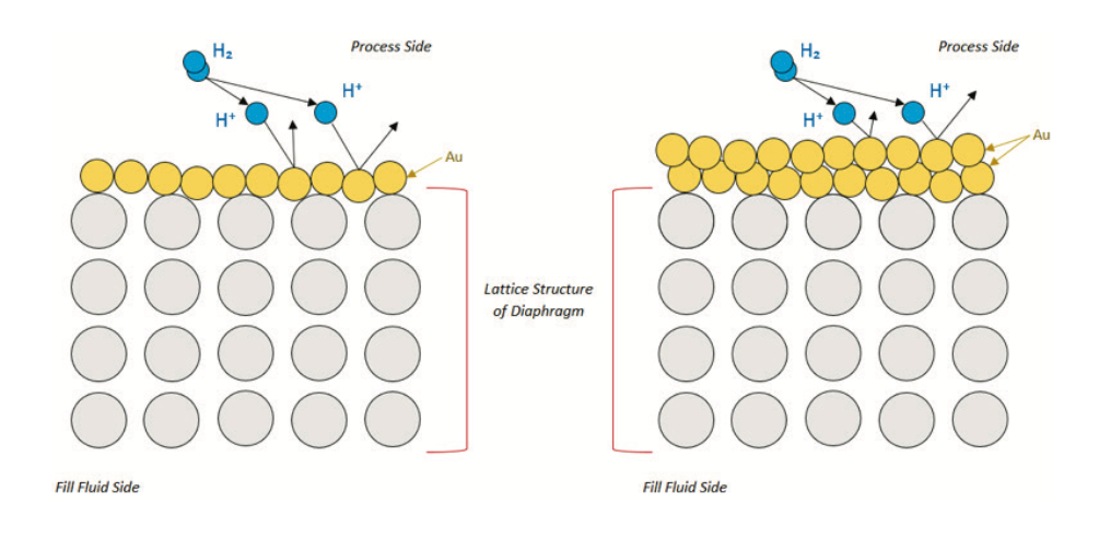 Hydrogen Permeation | Yokogawa America