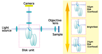 Wide Field of View | Yokogawa America